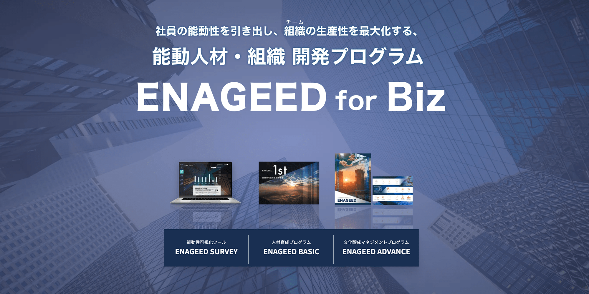 能動人材・組織 開発プログラム｜ENAGEED for Biz - 株式会社エナジード